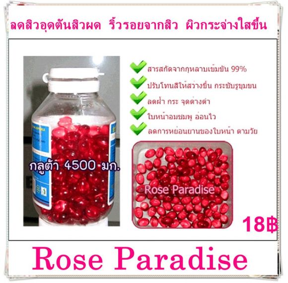 Rose Paradise - SiamShop.com