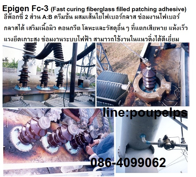 Epigen Fc-3 (Fast curing fiberglass filled patchin - SiamShop.com